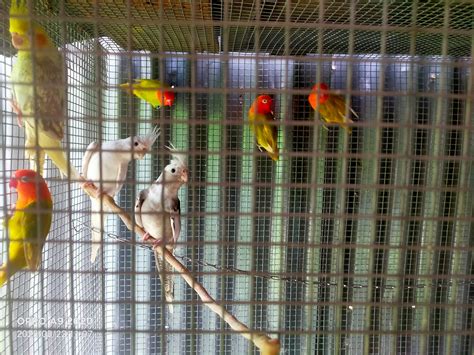 Rac Gameyard Rac Gameyard Added A New Photo