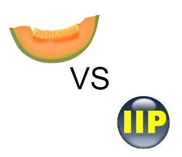 Choosing A Iiif Server And Format Hescida