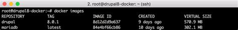 6 reasons to deploy drupal 8 with docker by chingis wodby blog