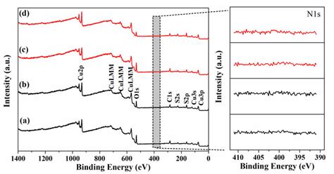 Xps Survey Spectra Left And Corresponding High Resolution N1s Spectra