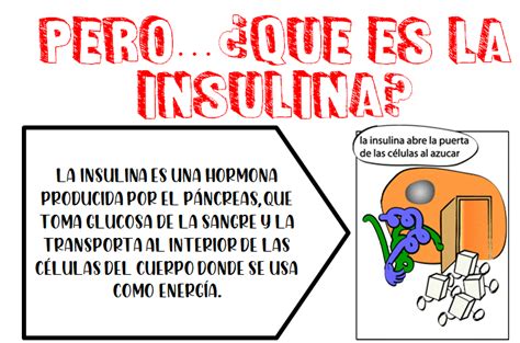 Pero ¿que Es La Insulina Prevencion De La Diabetes