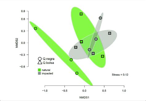 Nonmetric Multidimensional Scaling Nmds Of The Overall Benthic