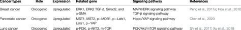 The Involvement Of Linc Ror In Multiple Signaling Pathways Download