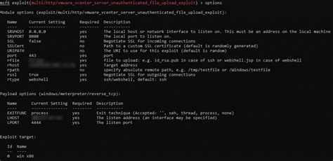 Vmware Vcenter Server Dengan Celah Keamanan File Upload Allen Gerysena
