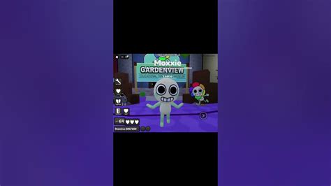 Baldicus Baldifer Youtube