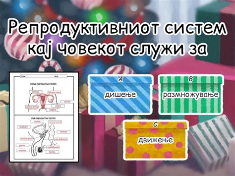 Биологија декември Quiz