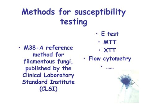 Ppt Status Of Susceptibility Testing In Aspergillus Powerpoint Presentation Id 9252859