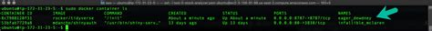 Chapter Docker Containers The Shiny Aws Book