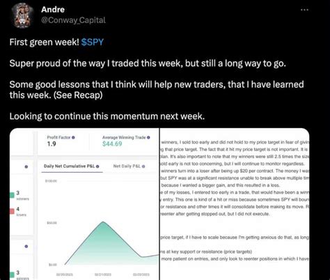 How To Create A Profitable Trading Mindset Tradezella