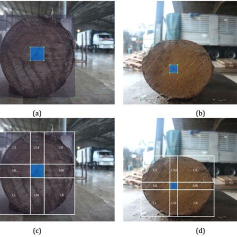 Sample Wood Cross Sectional Images With Annotated Bounding Boxes