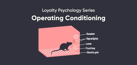Skinner Operant Conditioning