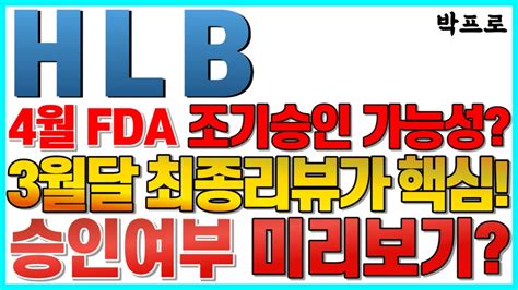 에이치엘비 주가 Fda조기승인 가능성 대두 3월 최종리뷰서 미리확인 시간이없다ㅣ에이치엘비주가전망 에이치엘비 에이치