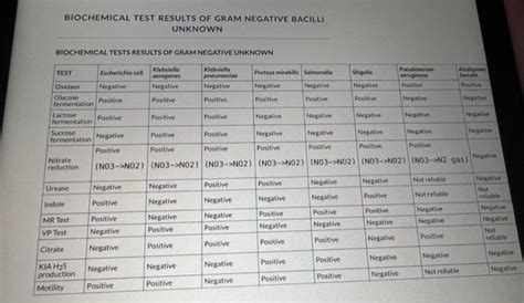 Solved Biochemical Test Results Of Gram Negative Bacilli