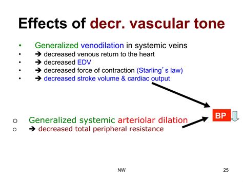 Vascular Tone And Tissue Perfusion Pdf