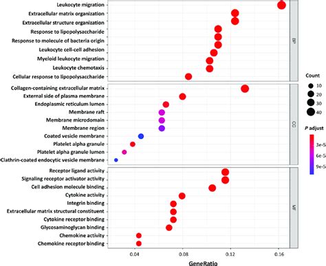 Gene Ontology Go Enrichment Analysis Of All Degs The Bubble Shows