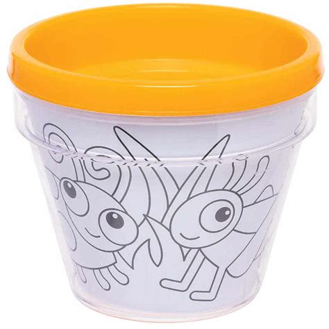 Insect Bug Colour In Flowerpots Baker Ross