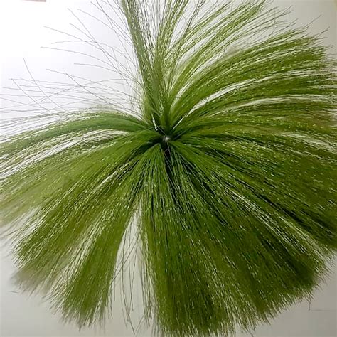 Soft Brush 4 Rotobrush