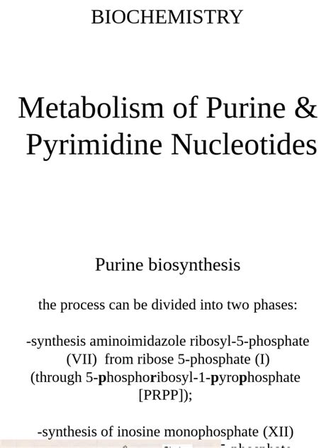 Metabolism Of Purine And Pyrimidine Nucleotides Pdf
