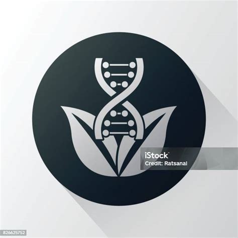 植物 Dna 圖示向量圖形及更多圖示圖片 圖示 實驗室 插圖 Istock