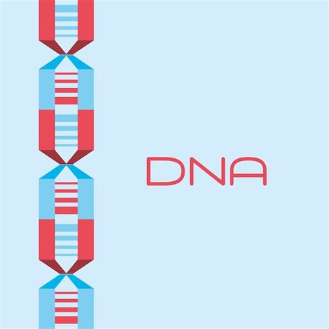 Estrutura Da Molécula De Dna Vetor Premium