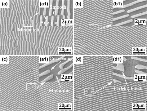 Microstructure Evolution Of Nial Cr Mo Planar Eutectic Lamellar