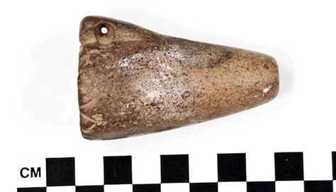 Residue Reveals Plants Native Americans Smoked 1500 Years Ago Futurity