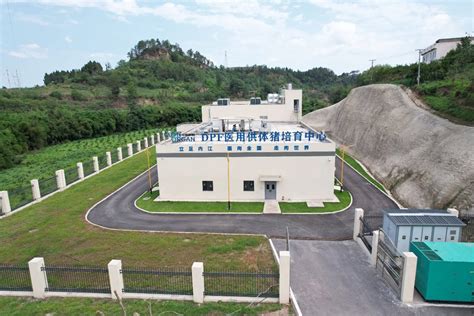 基因编辑猪肝脏成功植入人体，成都企业受邀出席《自然》杂志全球新闻发布会 奥格 移植