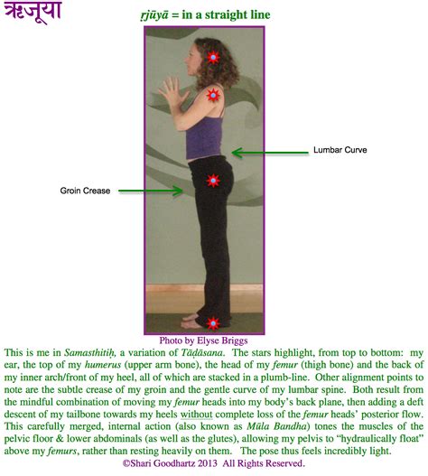 Mindful Alignment Strategies Samasthitihi And Mula Bandha Shrishari Blog