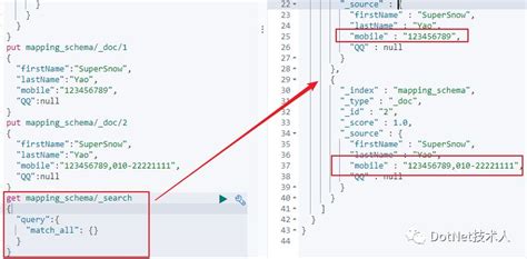 Elasticstack学习（七）：elasticsearch之mapping初探 董川民