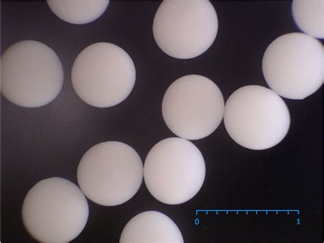 Photomicrography Of Uniform Polyelectrolyte Complex Pec Beads With