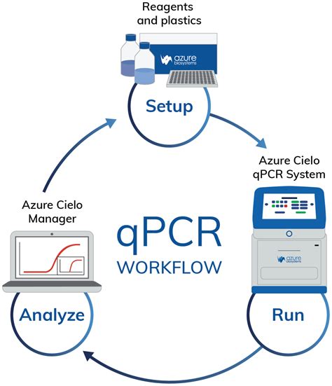 What Is Real Time PCR QPCR Azure Biosystems