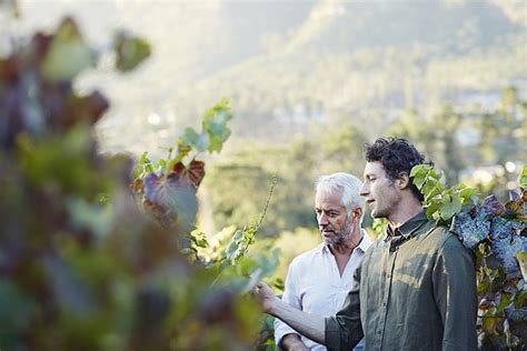 5 Consejos Para Emprender Tu Negocio Y Marca De Vino