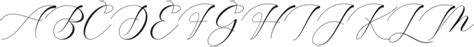 shophia script regular otf 400 font script elegant what font is
