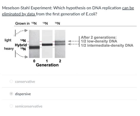 Solved Meselson Stahl Experiment Which Hypothesis On DNA Chegg