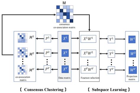 Consensus Guided Multi View Unsupervised Feature Selection With Hybrid Regularization