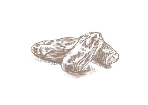 Dates Stock Illustrations 9 589 Dates Stock Illustrations Vectors Clipart Dreamstime Page 2