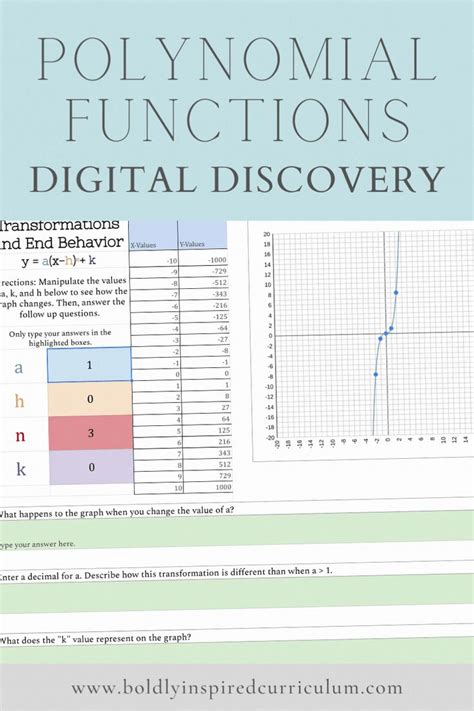 Polynomial Function Transformations Digital Activity Polynomial