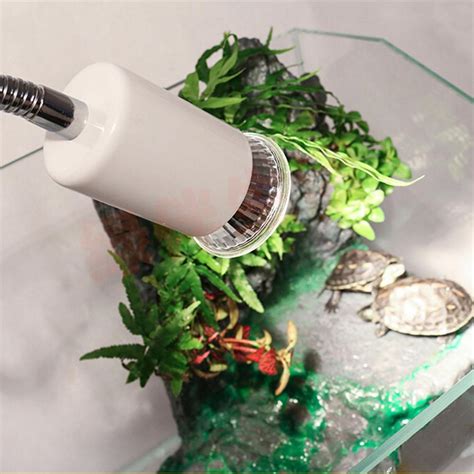 Uvb Uva 30 Reptile Lamp Kit Turtle Basking Heating Set With Clipon Holder Free Shipping Worldwide