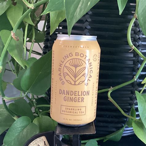 Sparkling Botanicals Dandelion Ginger Collaborative Natural Health