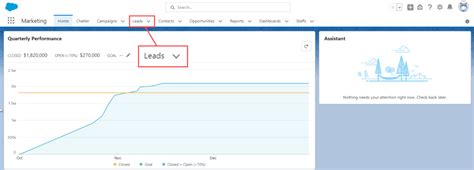 Salesforce Leads Complete Tutorial