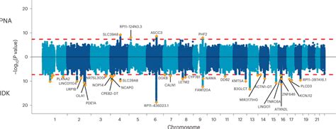 Miami Plot For Gwas Of The Pna And Idk Factors Miami Plot Of The