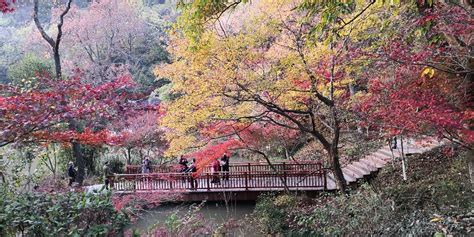2019栖霞山 旅游攻略 门票 地址 问答 游记点评南京旅游旅游景点推荐 去哪儿攻略