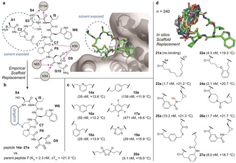 Figure 3 From Discovery And Structure Based Design Of Macrocyclic