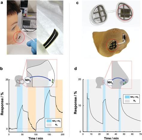 Continuous Sensing Of Modeled Exhaled Ammonia Gas By Sensors On Facial Download Scientific