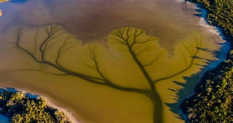 Pema E Jetës Gazeta Si