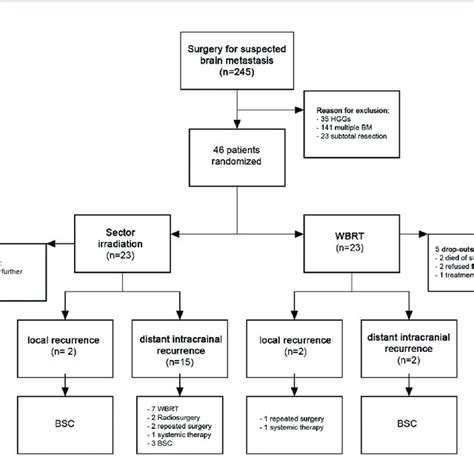 Treatment Algorithm Download Scientific Diagram