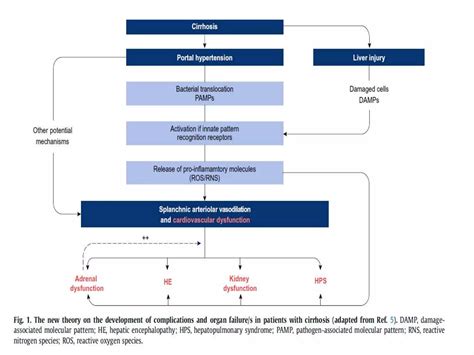 Easl Clinical Practice Guidelines For The Management Of Patients With