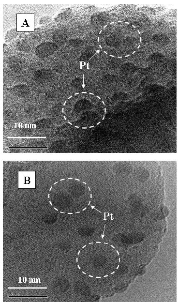 Time Course Of H2 Gas Evolution From Download Scientific Diagram
