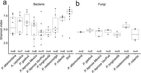 Box Plots Of Shannon Diversity Of A Bacterial ASVs And B Fungal ASVs