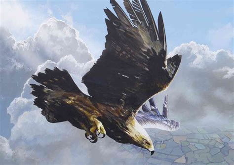 Focus Prophetic Artists